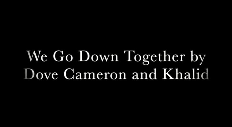We Go Down Together - Artizt line