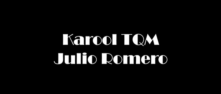 Karool TQM - Artizt line